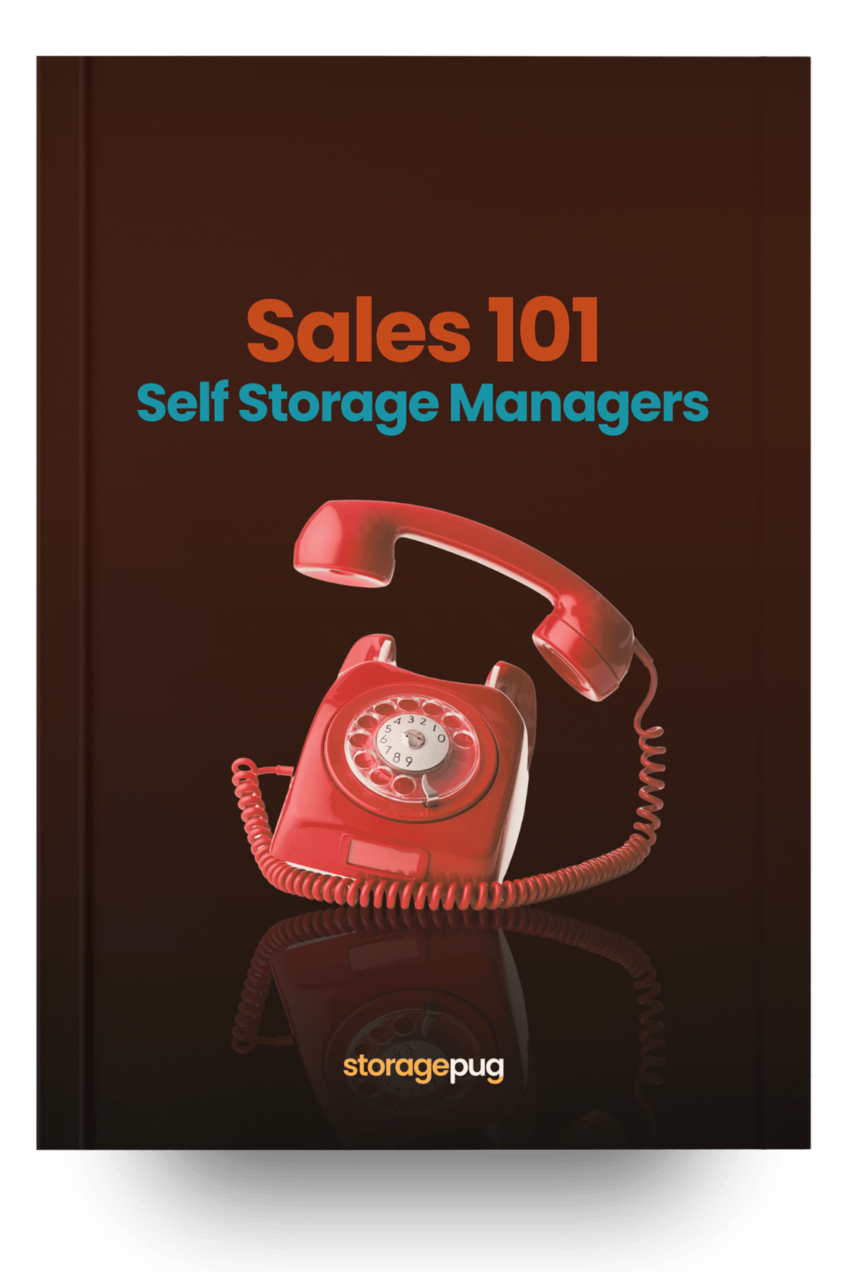 Sales 101 for Self Storage Managers | StoragePug